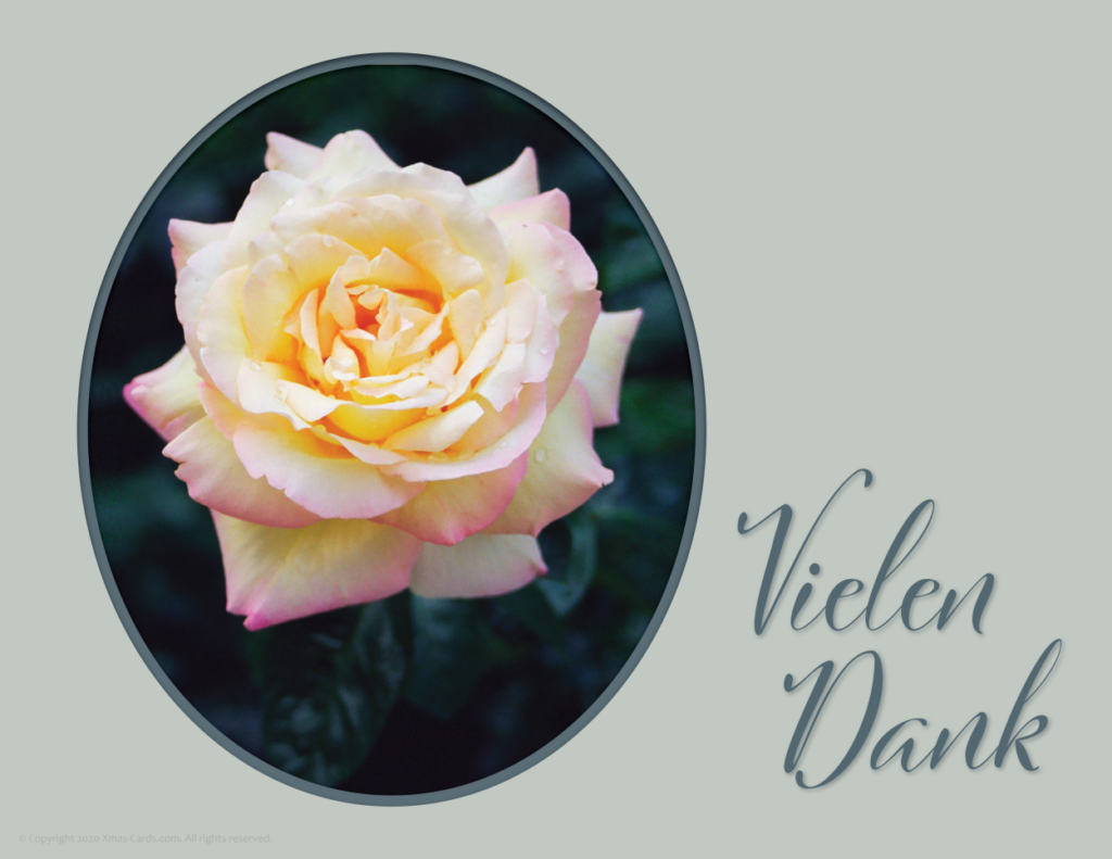 Farbentraum (Vielen Dank) - Aufmerksamkeit